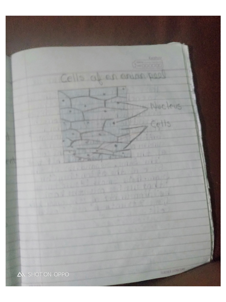 Diagram Class 9th Science CH - 1 | PDF