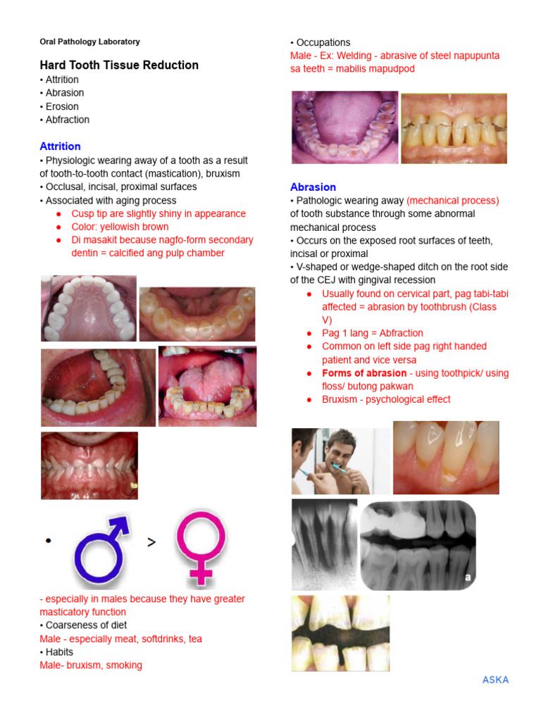 2-Hard-Tooth-Tissue-Reduction-ORALPATH-LAB | PDF
