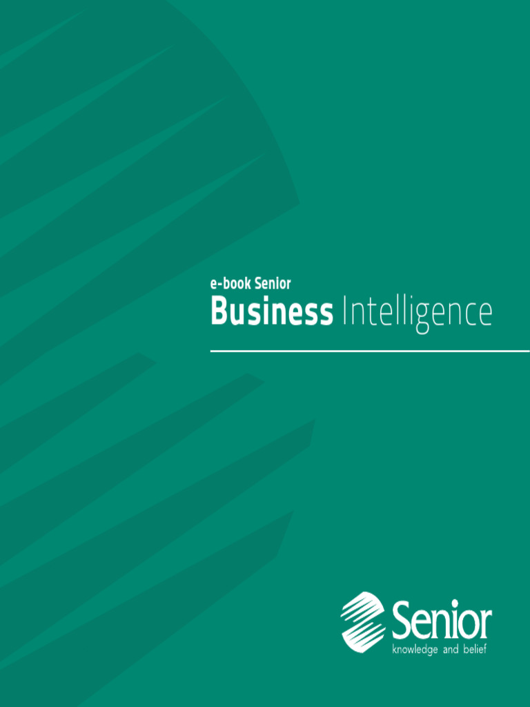 Business Intelligence | PDF