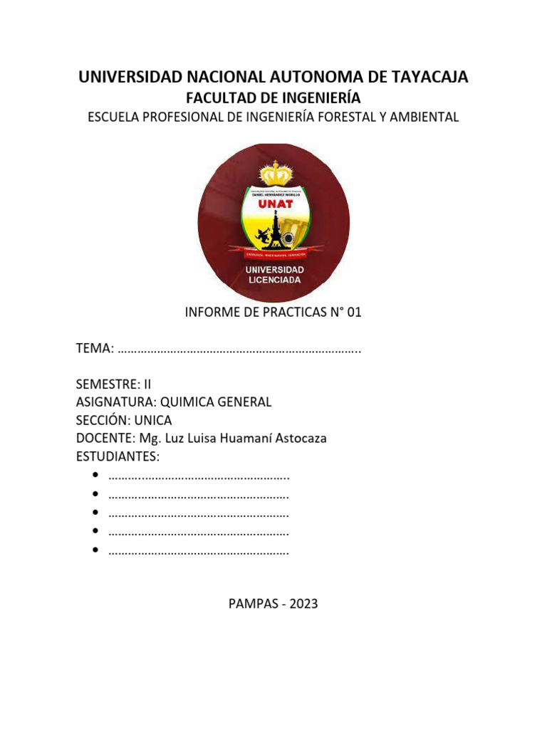 Esquema de Informe de Practica de Lab. | PDF