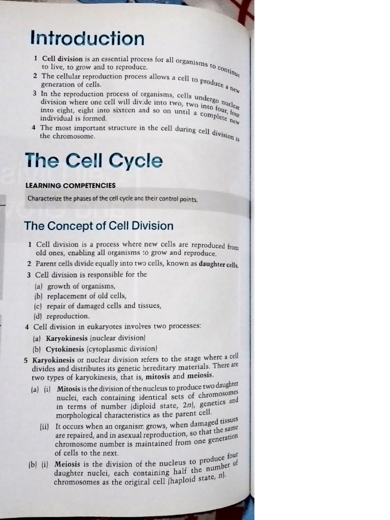 Cellular Division Pdf