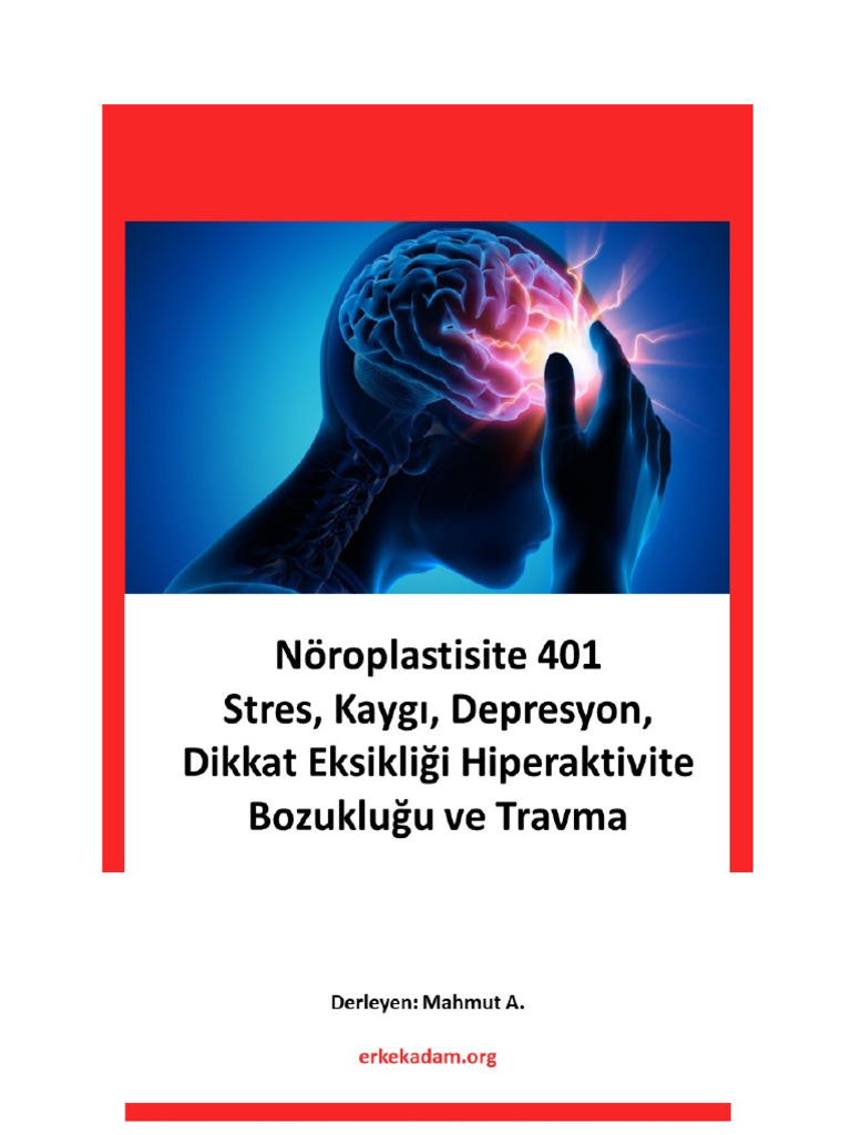 Andrew Huberman Notlar 4 Nroplastisite 401 Stres Kayg Depresyon Dikkat ... Andrew Huberman Notlar 4 Nroplastisite 401 Stres Kayg Depresyon Dikkat ...