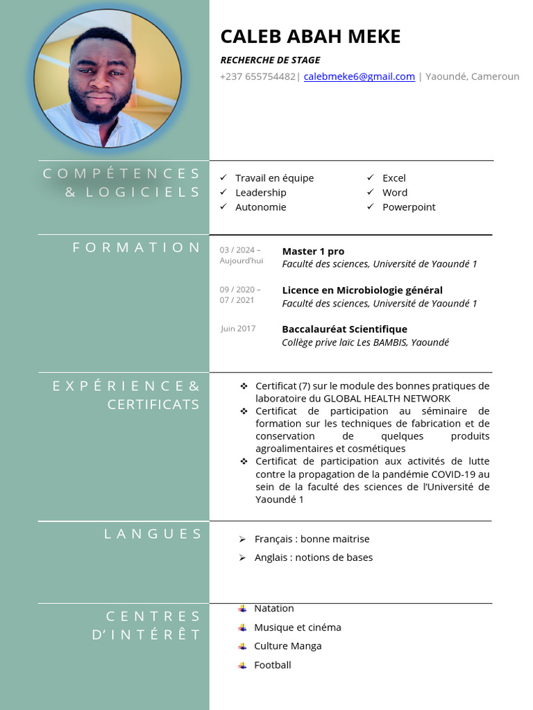 216 Modele CV Stage | PDF