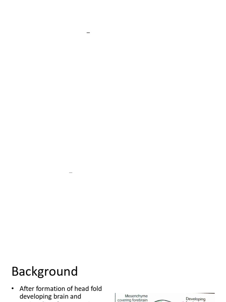 Embryology Face Nose Palate Neural Crest | PDF