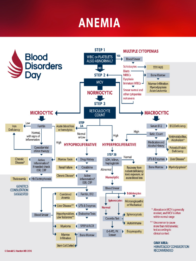 Blood Day ANEMIA Pathway (1) | PDF