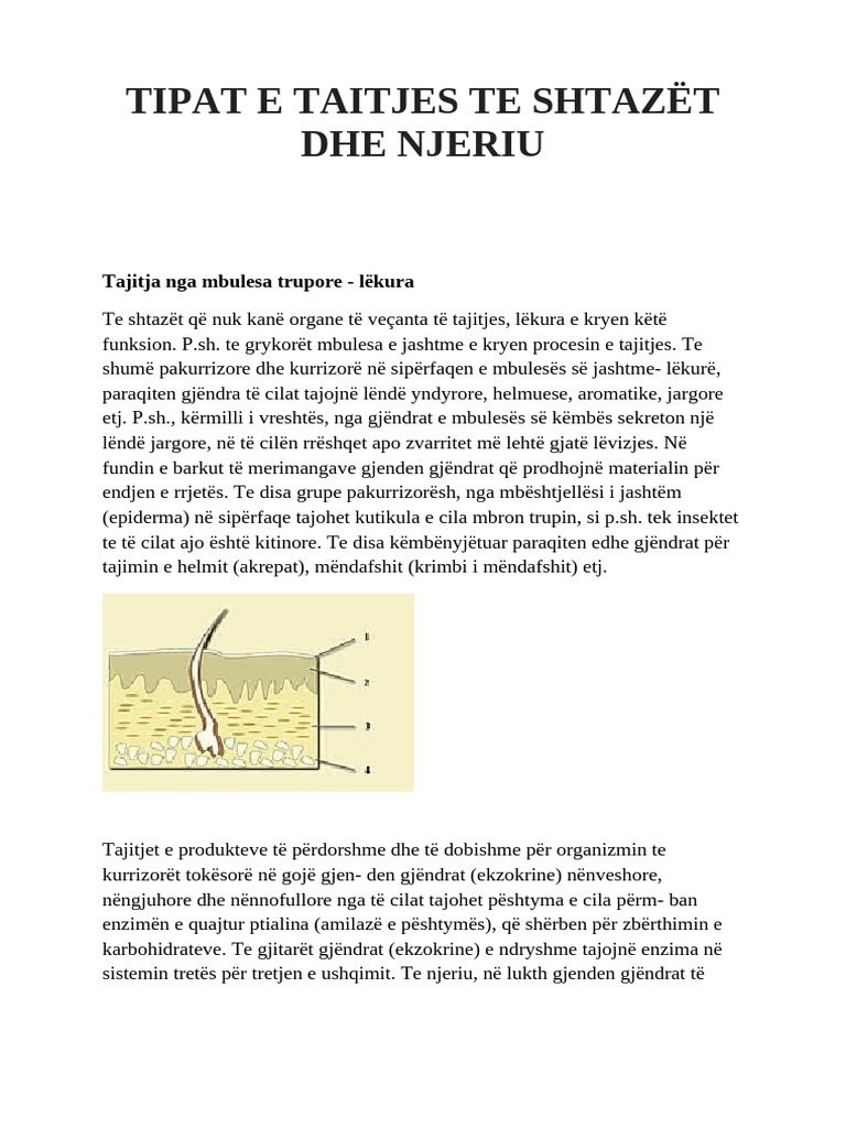 Tipat e Taitjes Te Shtazët Dhe Njeriu | PDF