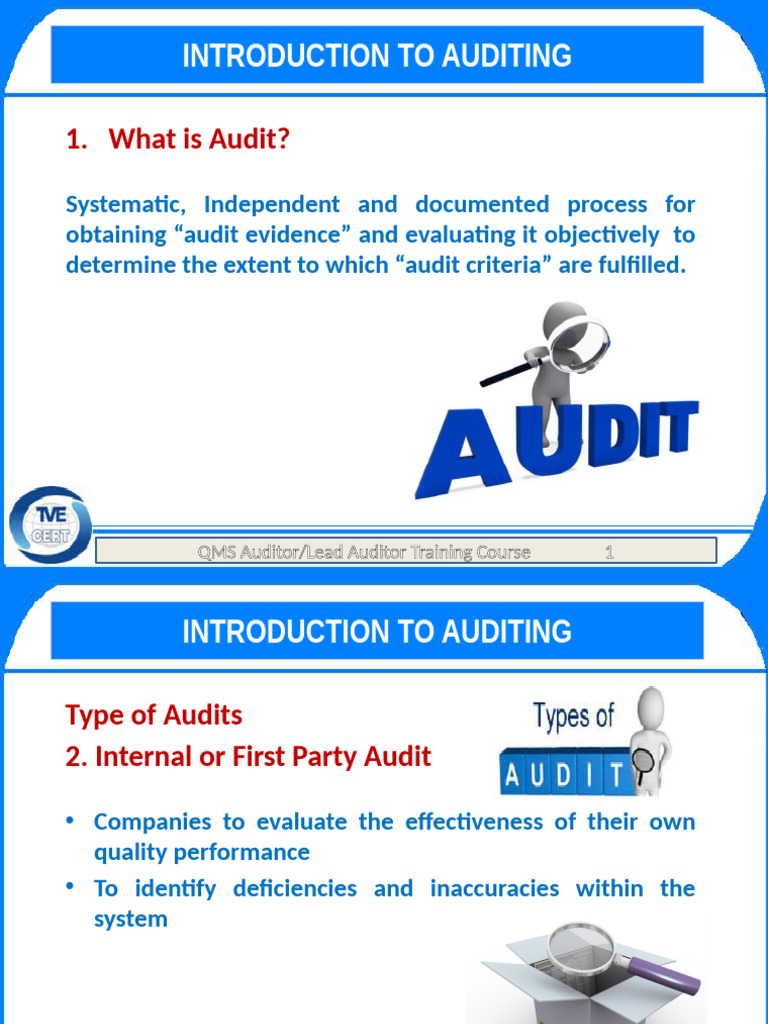 Introduction To Auditing | PDF