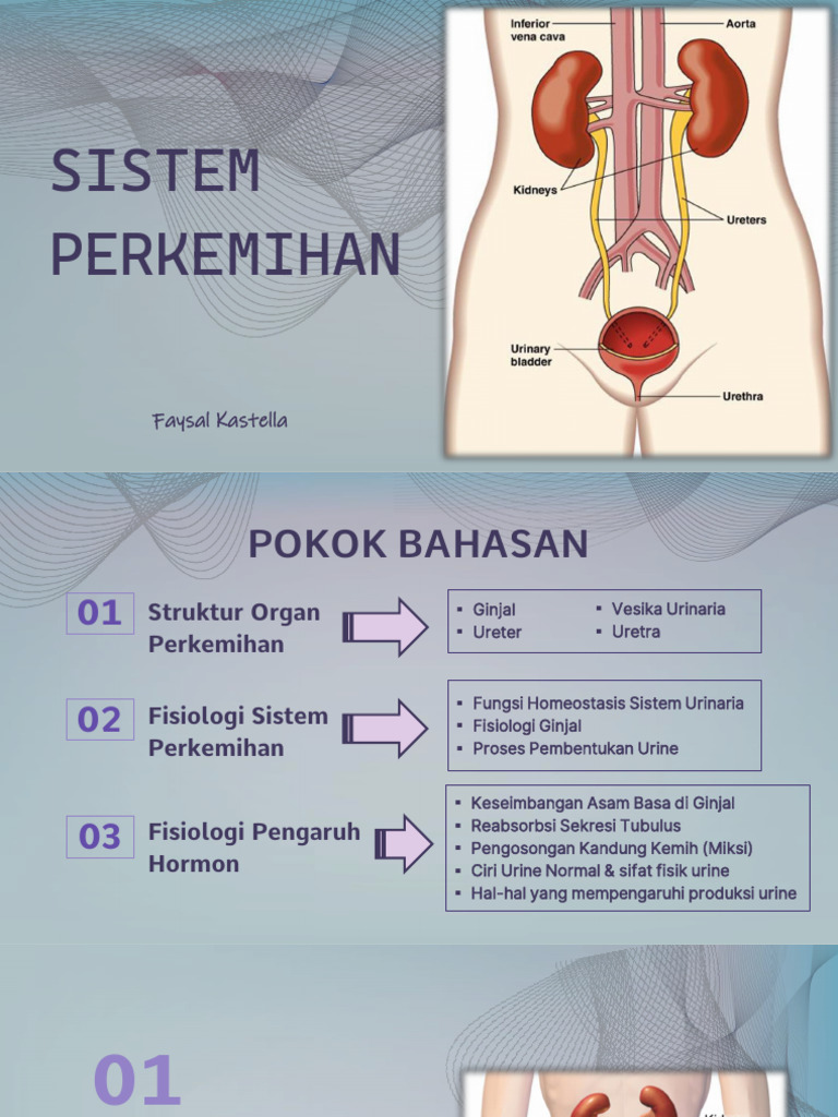 Sistem PERKEMIHAN | PDF