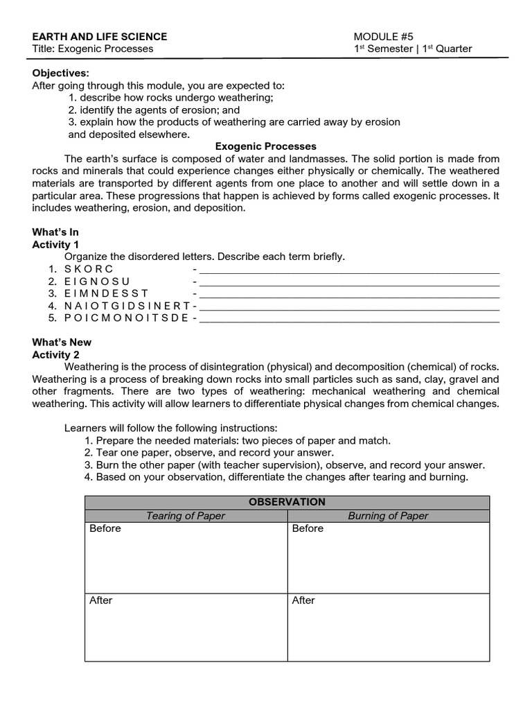 Q1elsmodule5 1 | PDF