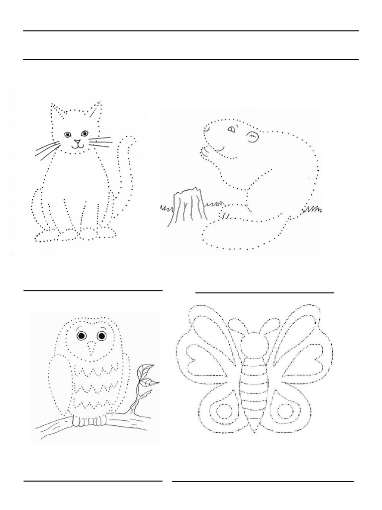 Dotted Drawings | PDF