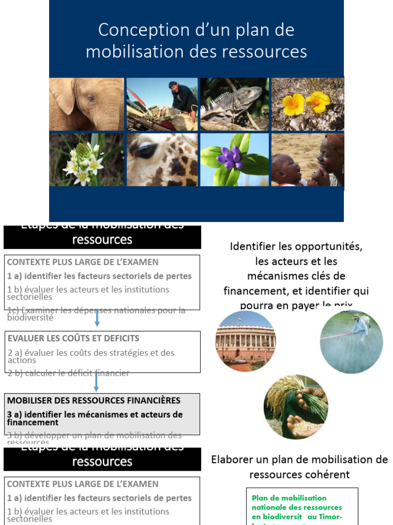 Strategie de Mobilisation Des Ressources-Presentation-Cbd-08-Fr | PDF