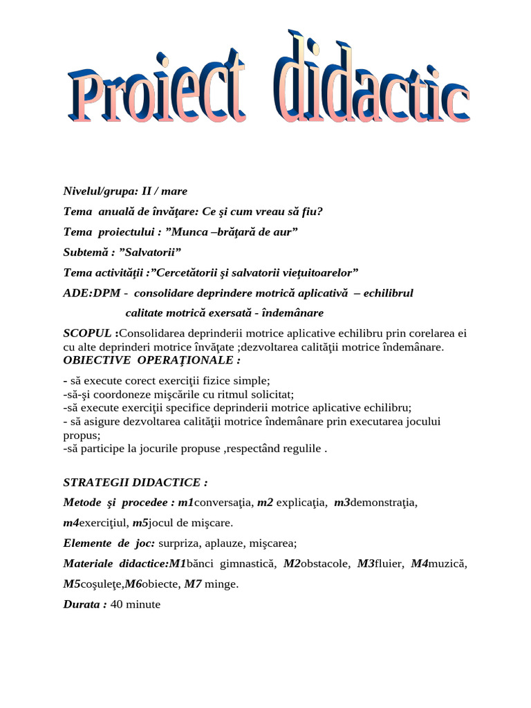 0 Proiect DPM | PDF