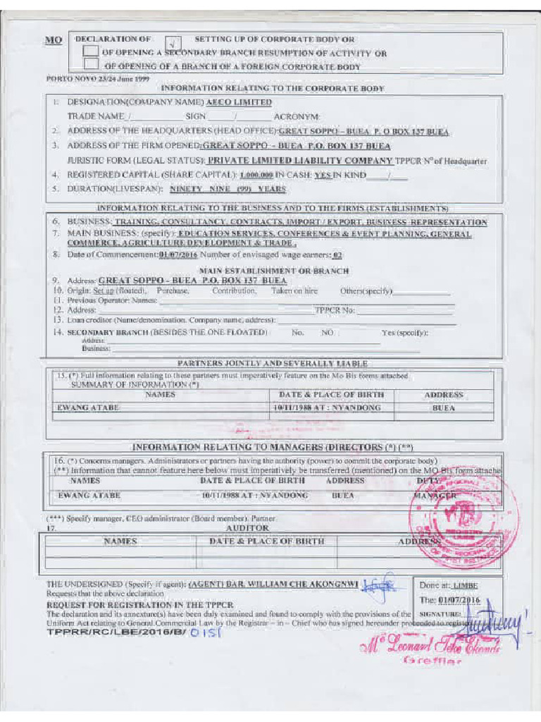 Business License | PDF