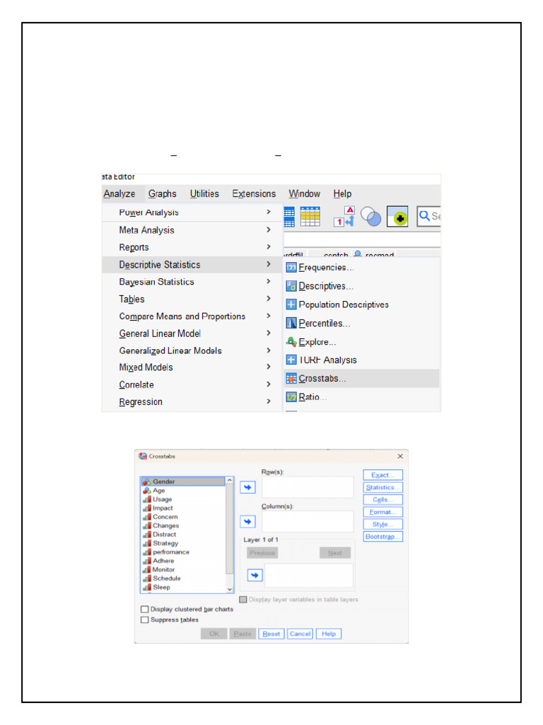 Spss File | PDF