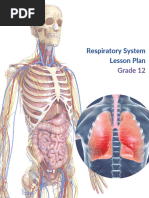 The Respiratory System Diagram No Labels - Google Searcho | PDF ...