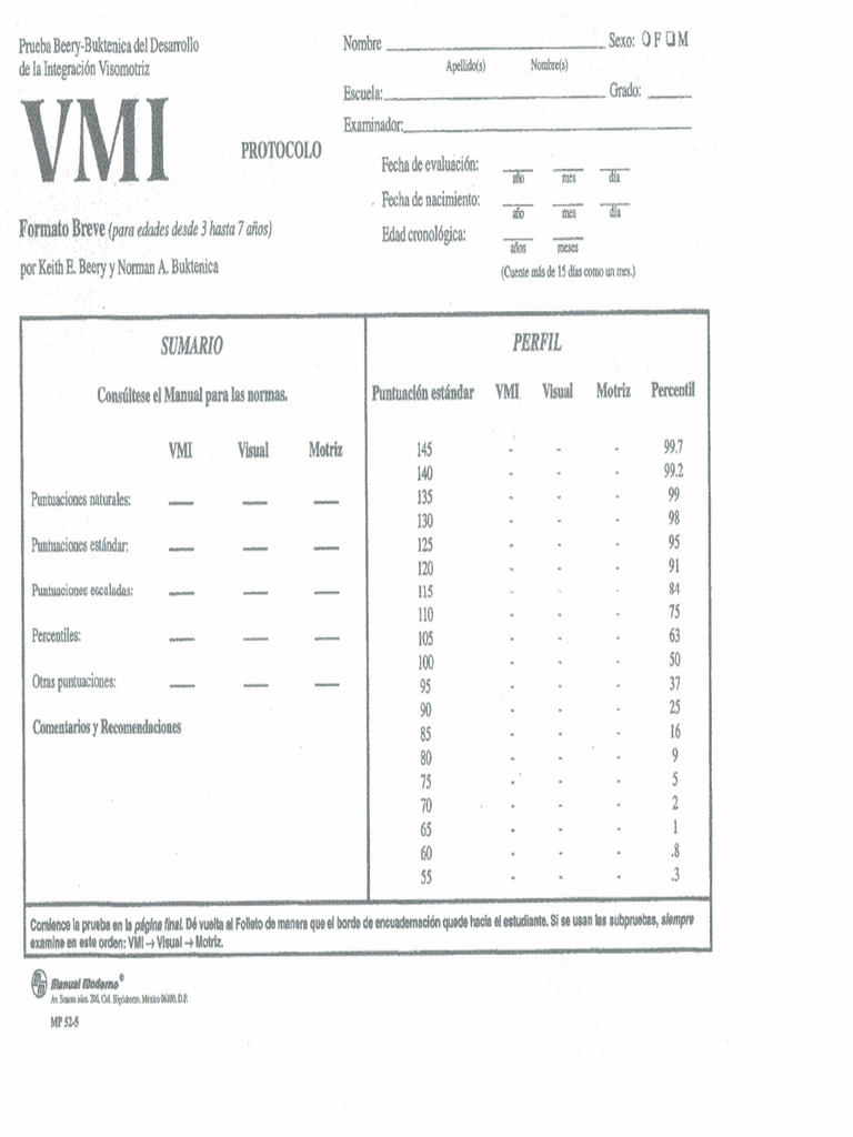 VMI Formato Breve | PDF