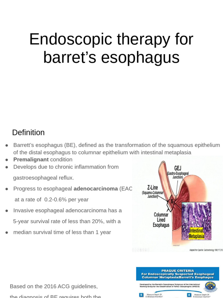 Barret S | PDF