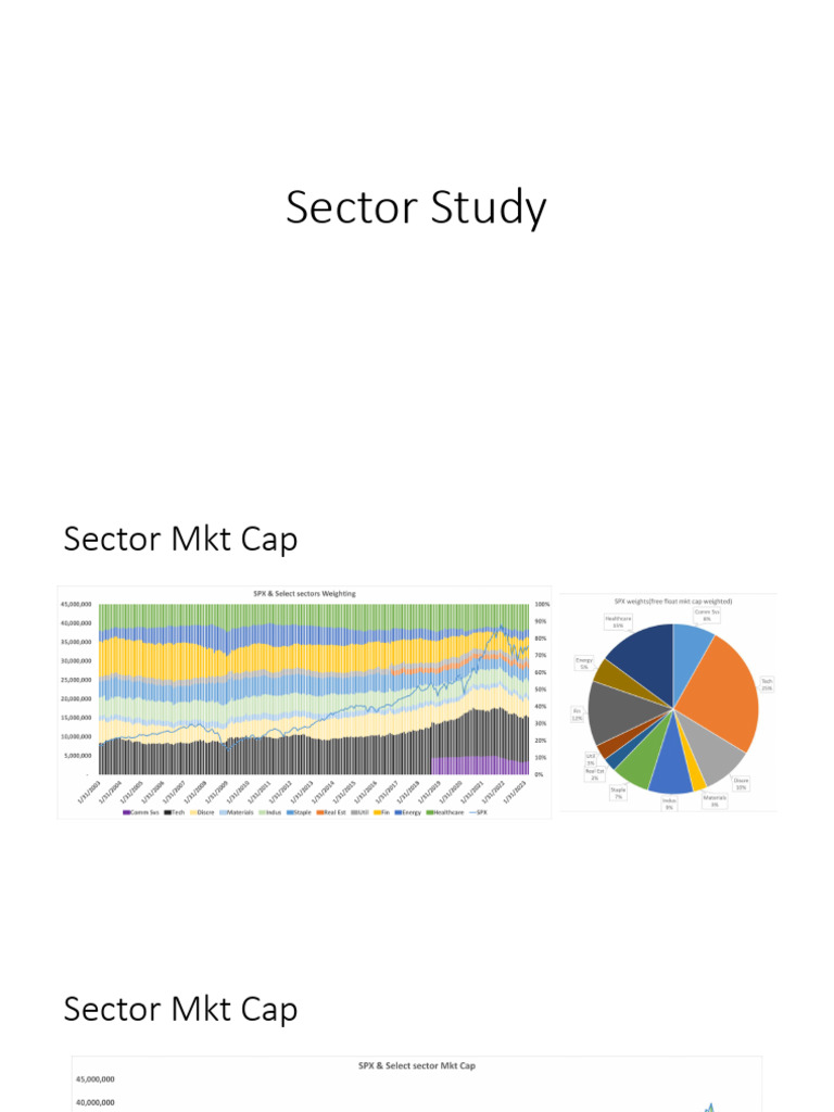 Sector Study 04172023 | PDF
