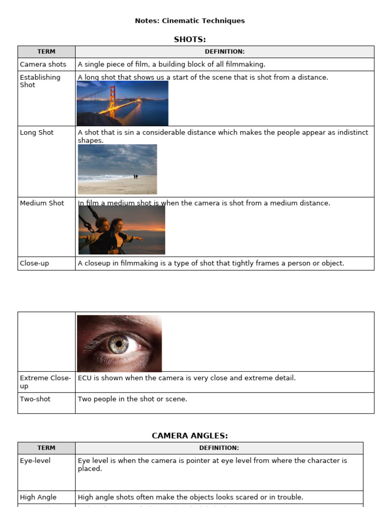 Cinematic Techniques Notes | PDF