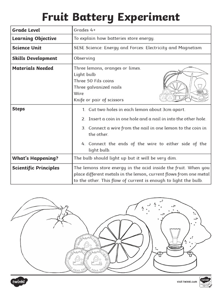 Option Homework activity-fruit-battery-science-experiment-english | PDF