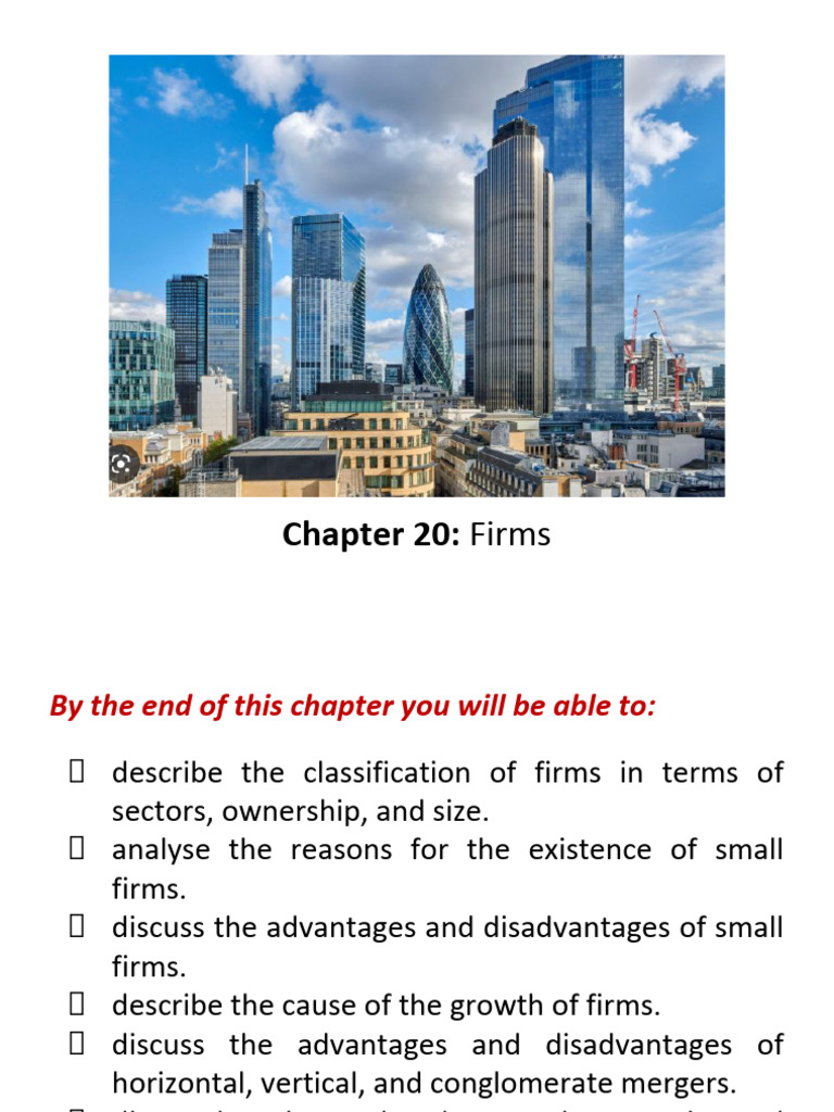 Chapter 20 Firms | PDF