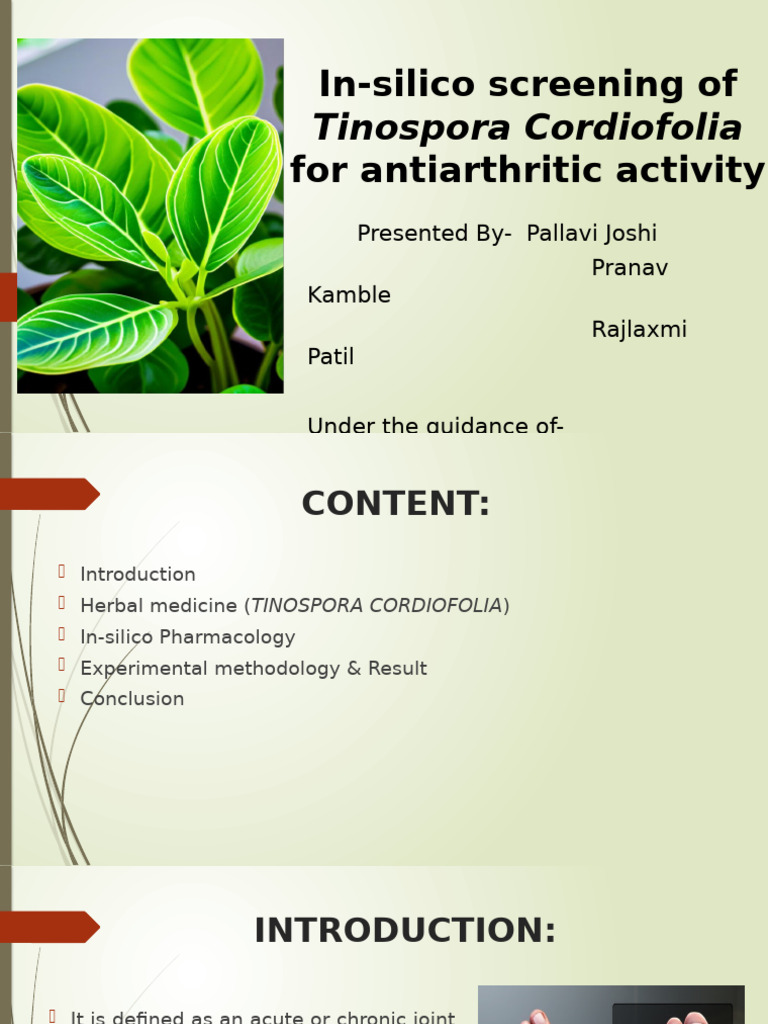 Presentation.pranav | PDF