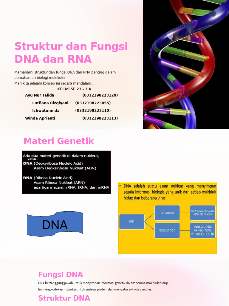 Struktur Dan Fungsi DNA Dan RNA | PDF