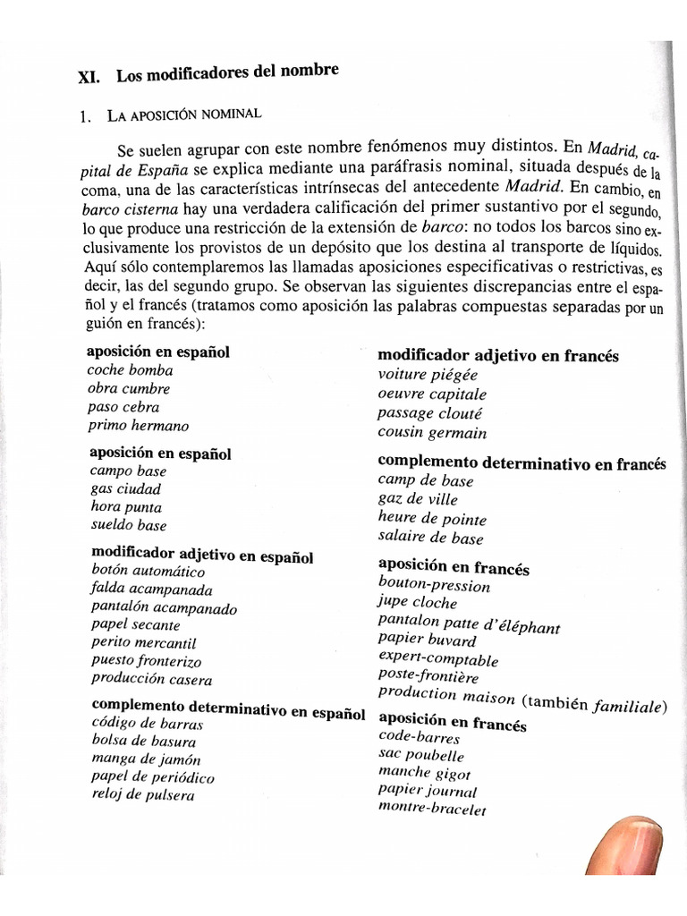 Aposiciones y Modificadores Del Nombre | PDF