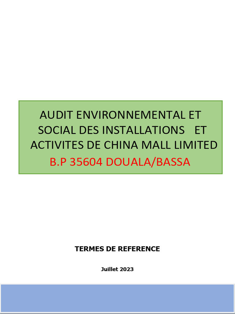 TDR Audit Env & Soc - CHINA MALL | PDF
