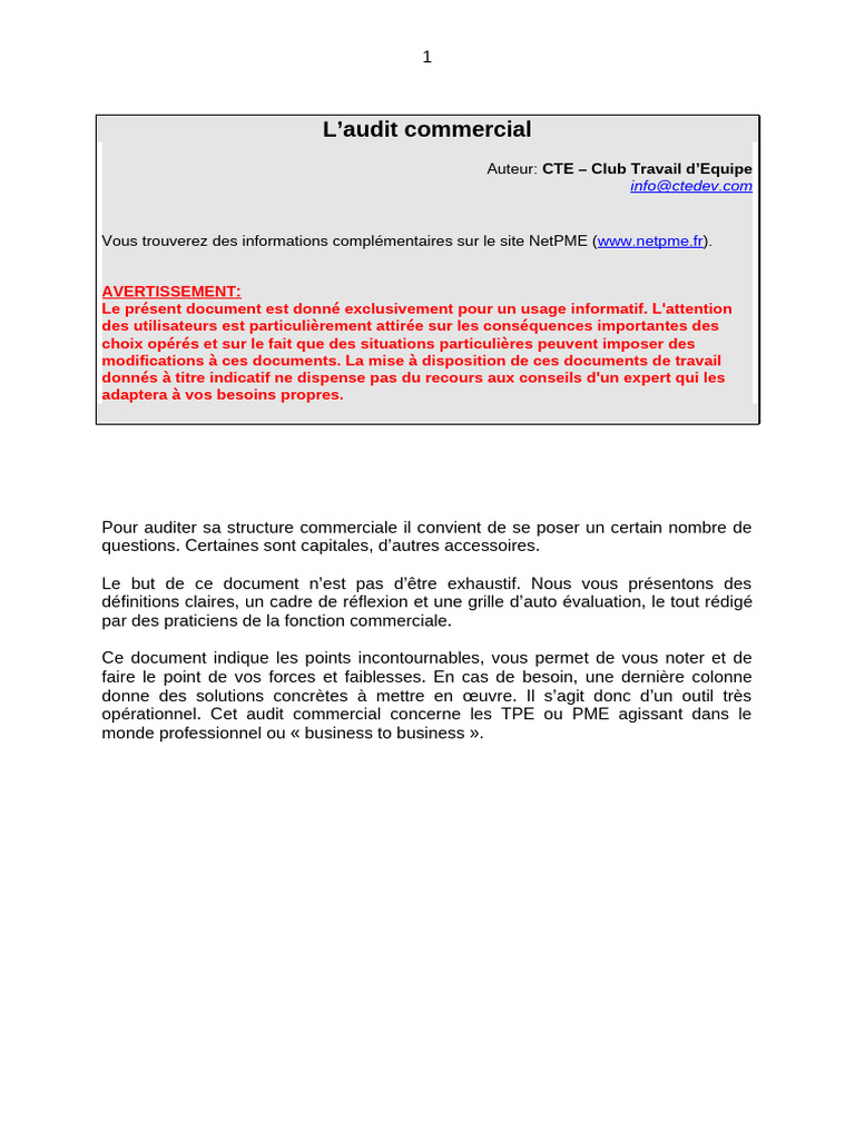 Audit Commercial | PDF