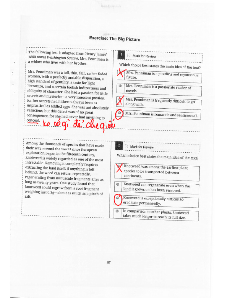 Erica Reading-P3-Main Idea | PDF