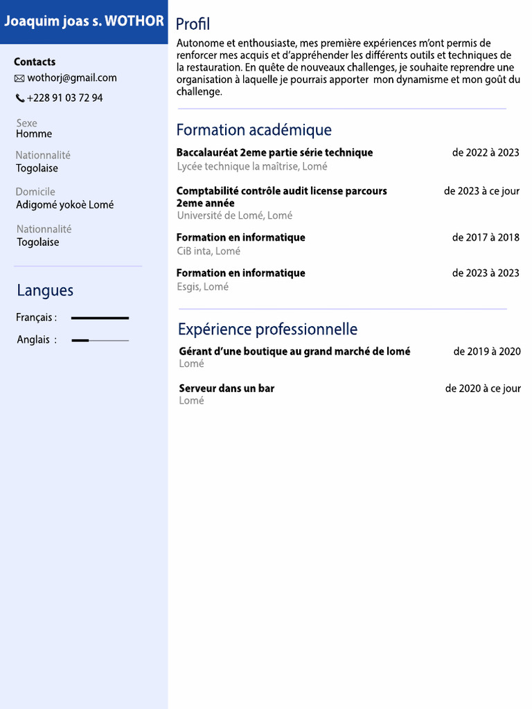 CV de Joas Copie | PDF