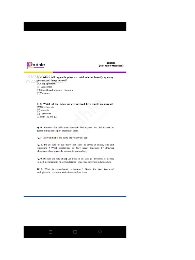 Sci 1 | PDF