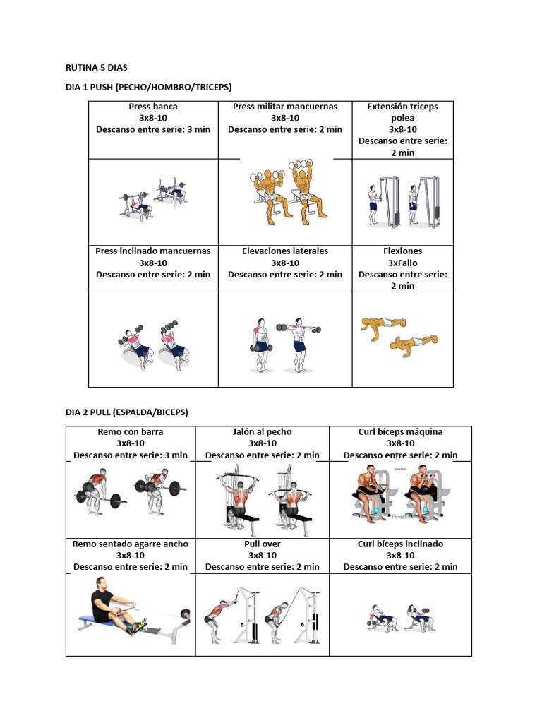 RUTINA 3 DIAS PPL | PDF
