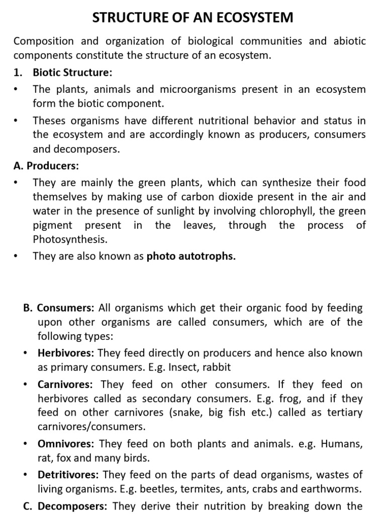 Unit 2 | PDF