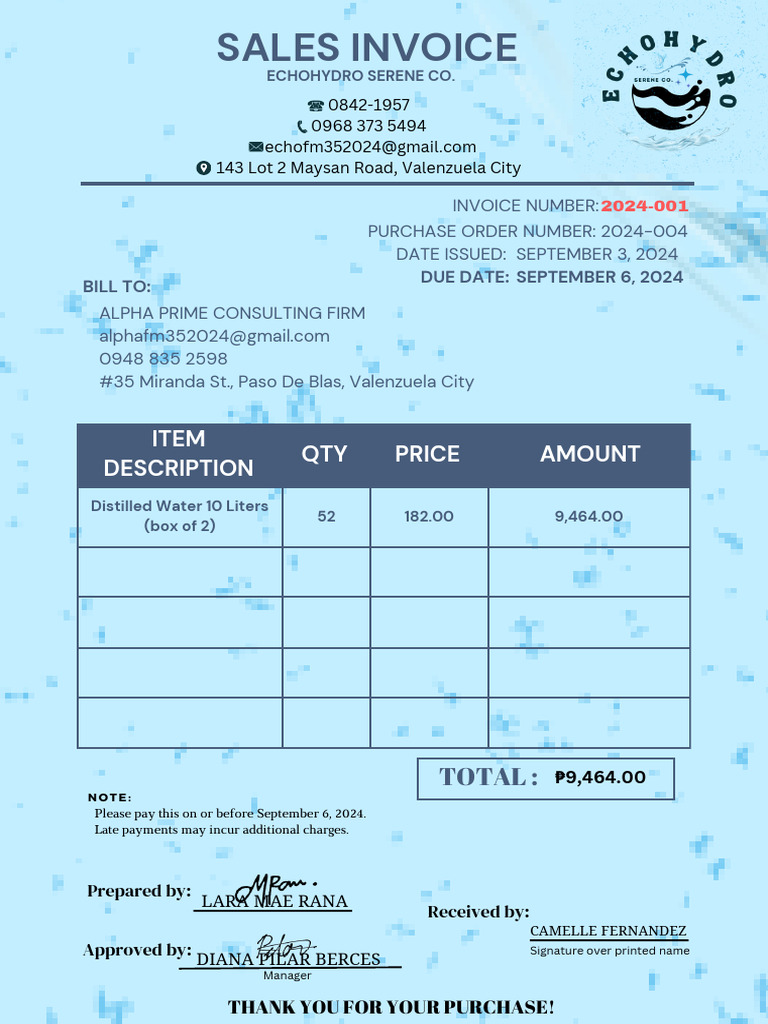 Sales Invoice - 2024-001 | PDF