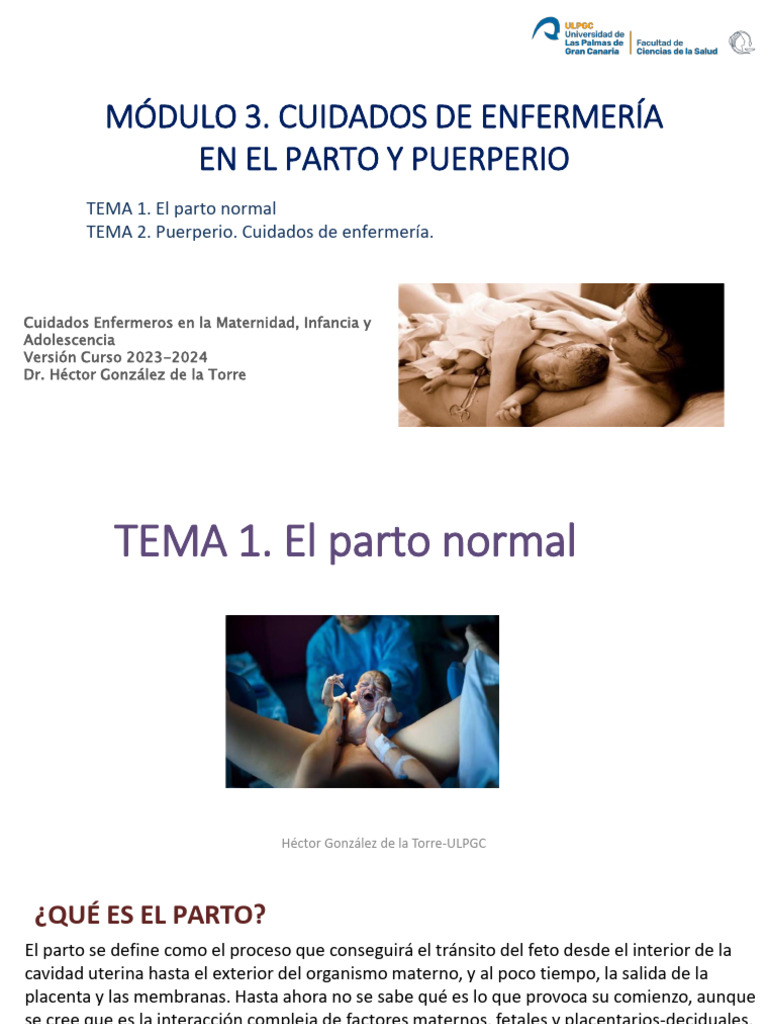 MODULO 3 Parto y Puerperio 2023_2024 HGT (1) | PDF
