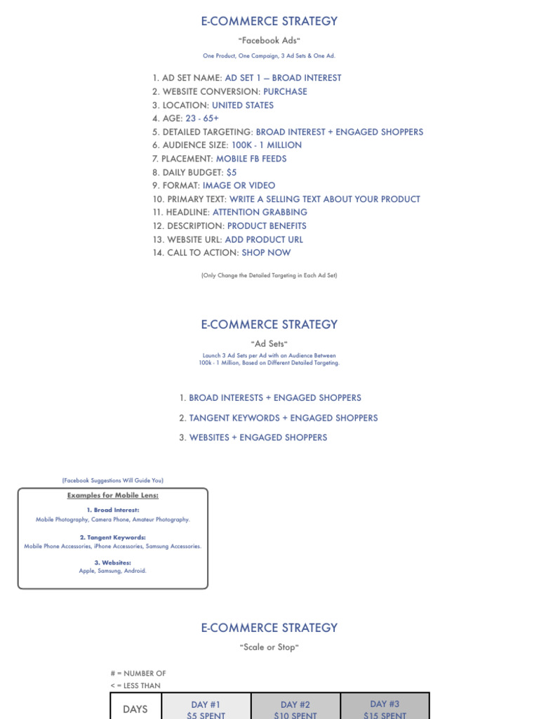Facebook+Ecommerce+Strategy+Template | PDF