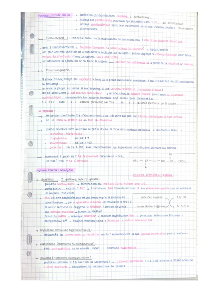 Bioch 2 | PDF