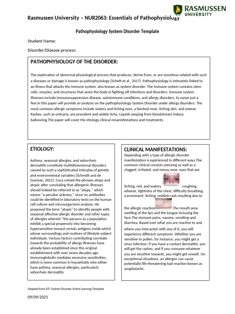 NUR2063 System Disorder Template | PDF