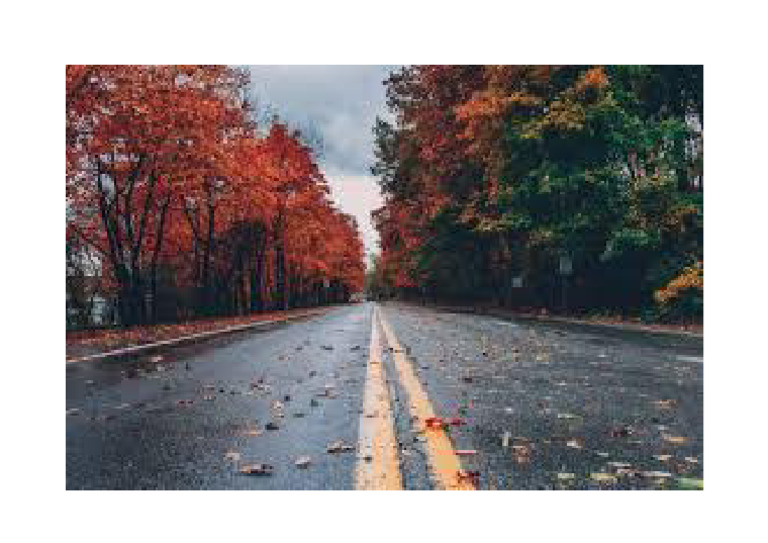 Road | PDF