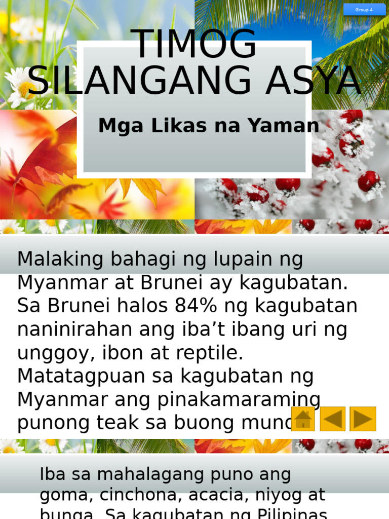 Likas Na Yaman NG Timog Silangang Asya | PDF