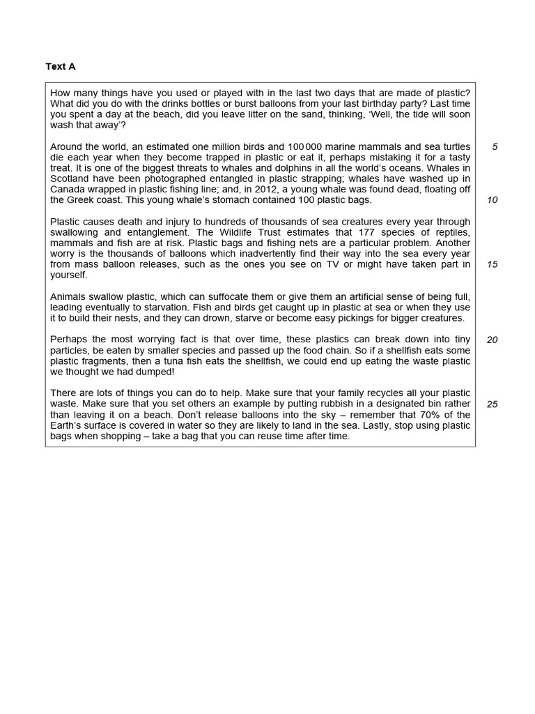 Reading Insert - Student Differentiated Activity | PDF
