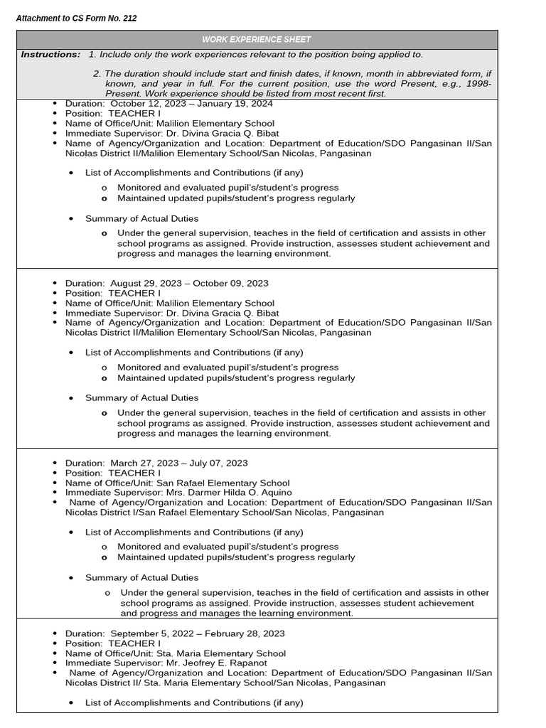 Work Experience sheet | PDF