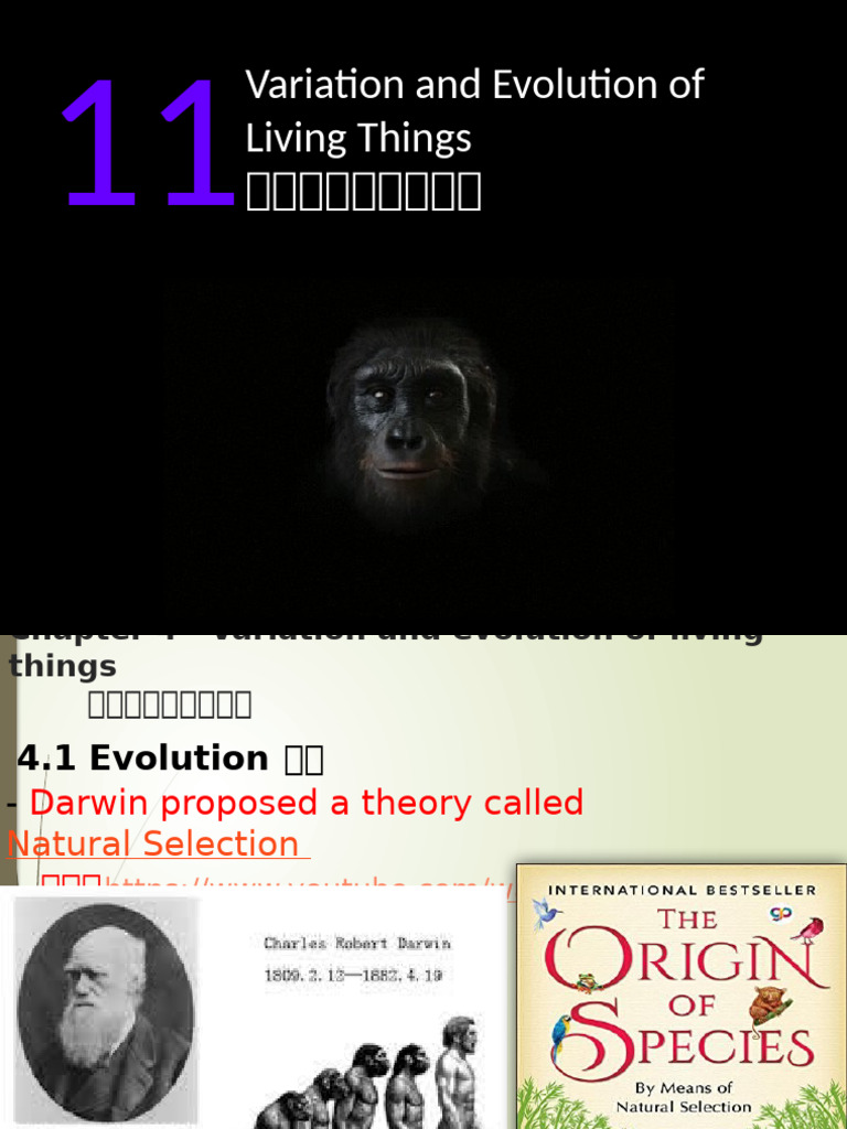 Chapter 3 Variation and Evolution of Living Things | PDF