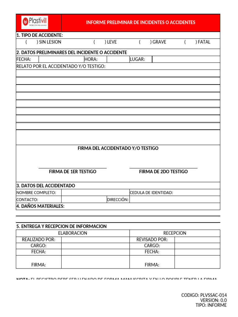 Formato Informe Preliminar | PDF