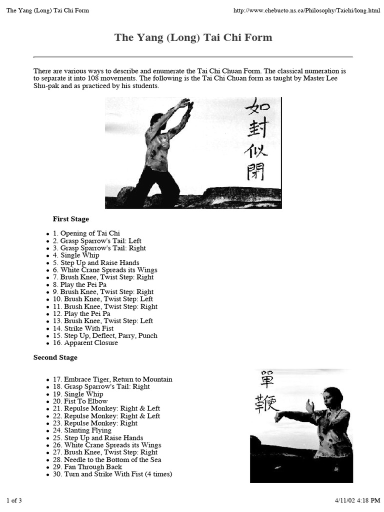 TaiChi LangeForm | PDF
