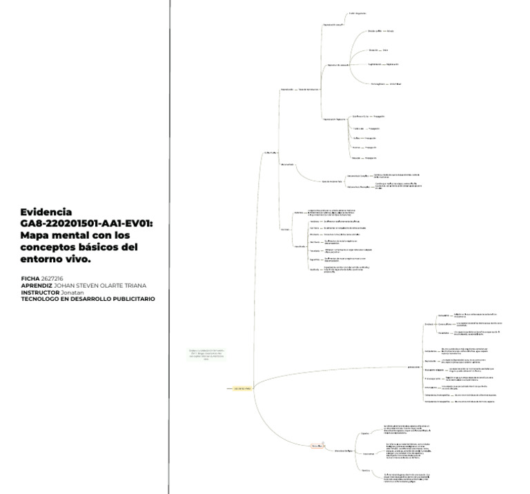 Evidencia GA8-220201501-AA1-EV0 Mapa Mental Con Los Conceptos Básicos ...