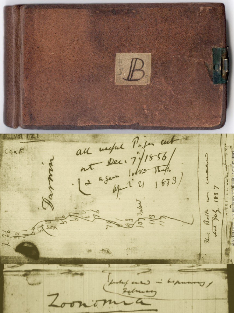 Red Notebook Darwin | PDF