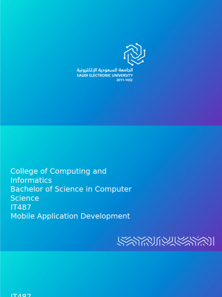 IT487 M3 Ch4 and Ch5 STD | PDF